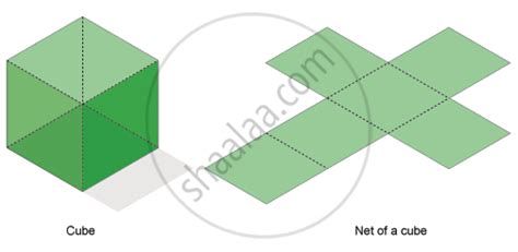 Image result for Cuboid Net Shape