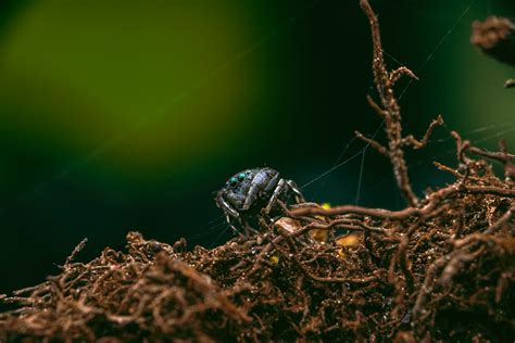 Image result for Collaborative Group Work