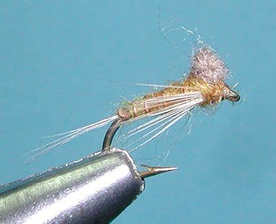 Image result for Floating Nymph Fly Pattern