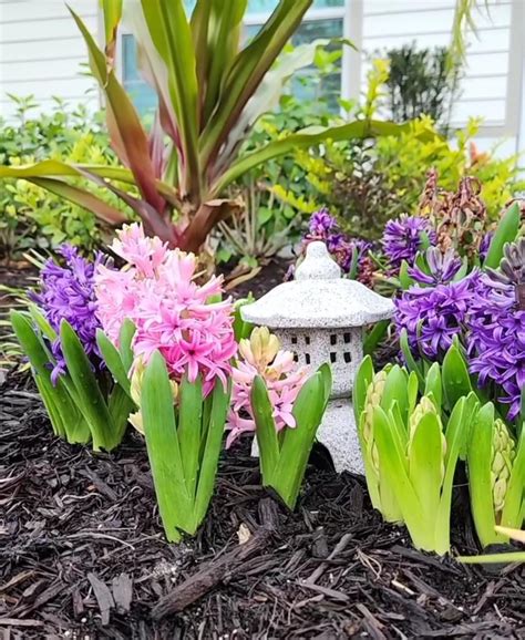 Image result for Springing Spring