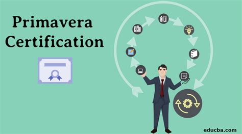 Image result for Primavera Certification