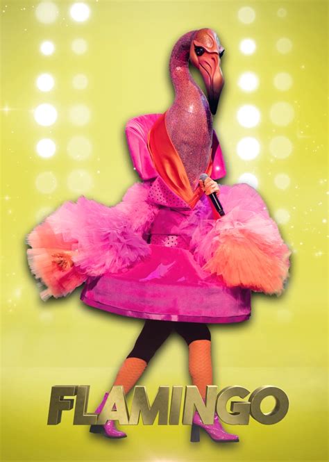 Image result for Flamingo Masked Singer Reveal