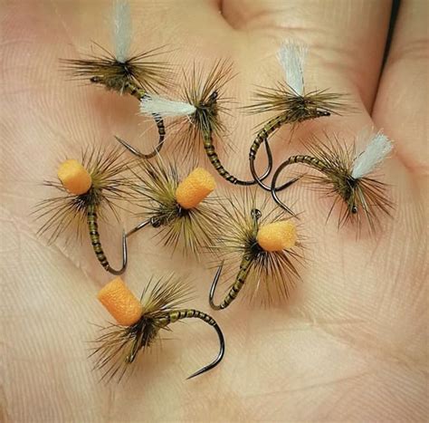 Image result for Dry-Fly Attractor Patterns