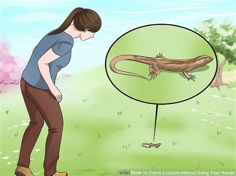 Image result for How to Catch a Lizard