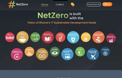 Image result for What Is NetZero