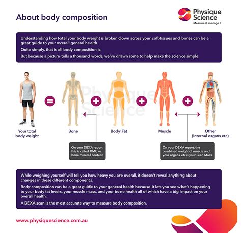 Image result for Types of Body Composition