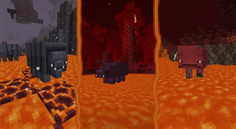 Image result for Optifine Cape Java Tutorial 1.8.9