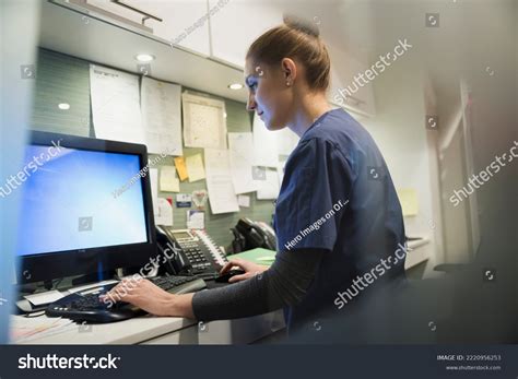 Image result for Nurse Using Computer