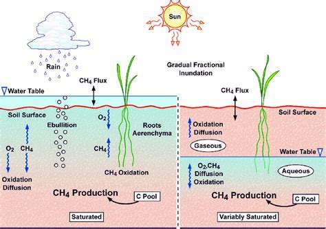 Image result for Physical Processes Definition