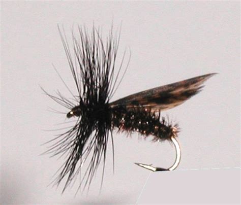 Image result for Best Trout Fly Patterns