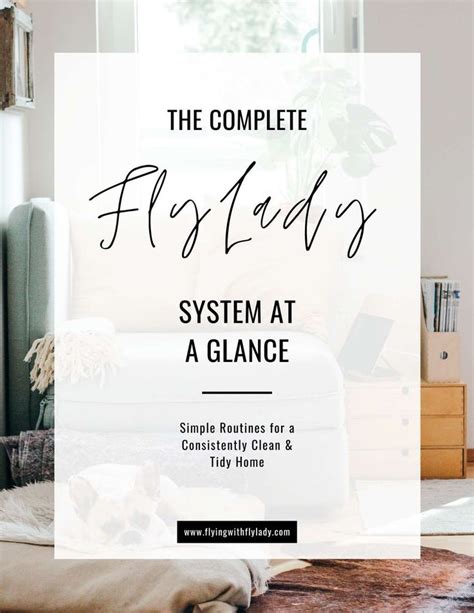 Image result for FlyLady System