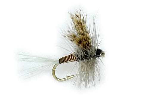 Image result for Red Quill Fly Pattern