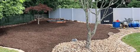 Image result for Spring Yard Clean Up Pruning