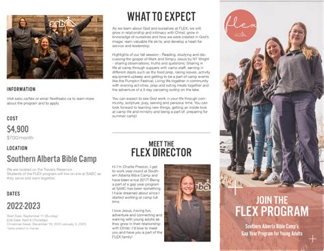 Image result for Flex Program Logo