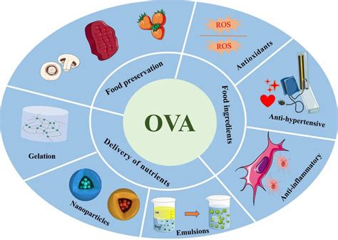 Image result for MySQL OVA