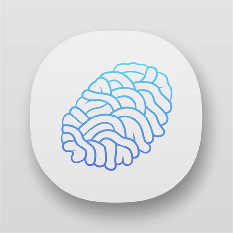 Image result for Meat App Motion Graphics