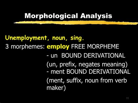 Image result for Example of Morphological