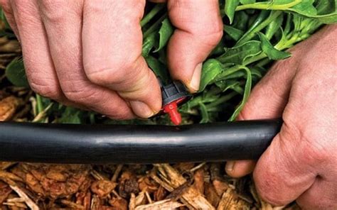 Image result for How to Install Drip Line Irrigation