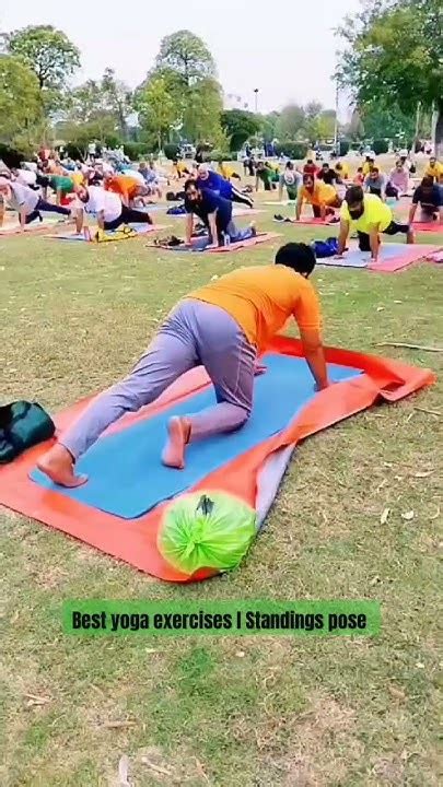 Image result for Exercise Positions