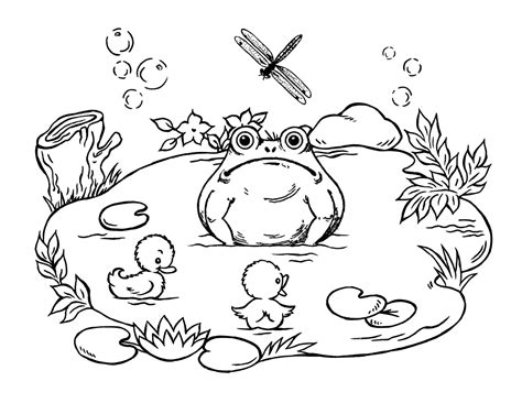 Image result for Cartoon Frog Coloring Pages