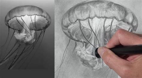 Image result for Drawing with Powdered Graphite