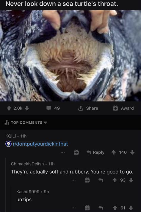 Image result for Cursed Turtle Man