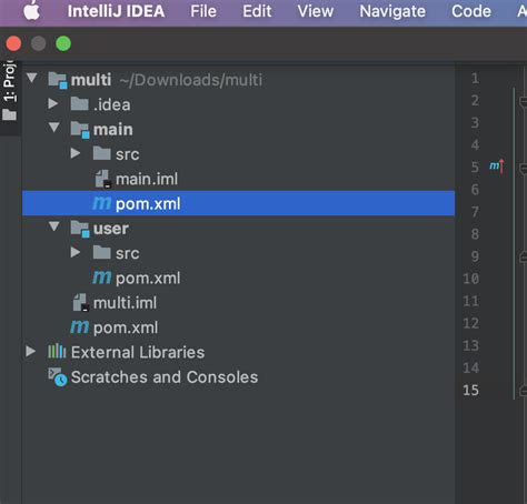 Image result for Multi-Module Project