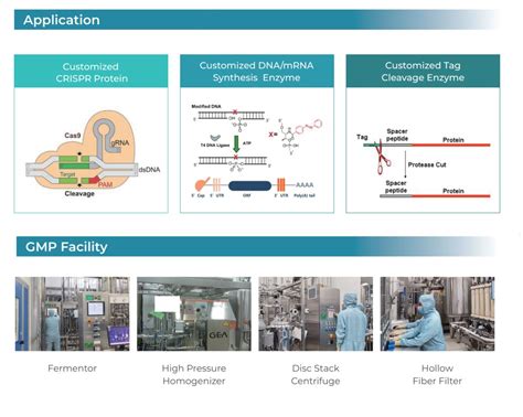 Image result for GenScript Protein Expression and Purification Challenges