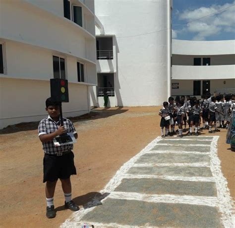 Image result for Grade School Science Activity