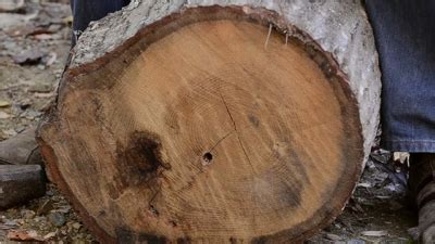 Image result for How to Split a Log