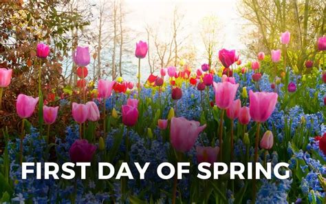 Image result for Spring First Movement