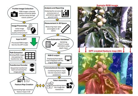 Image result for Ultralytics Visual Text Model