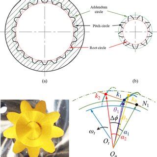 Image result for Involute Angle