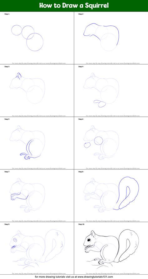 Image result for Draw a Squirrel Tutorial
