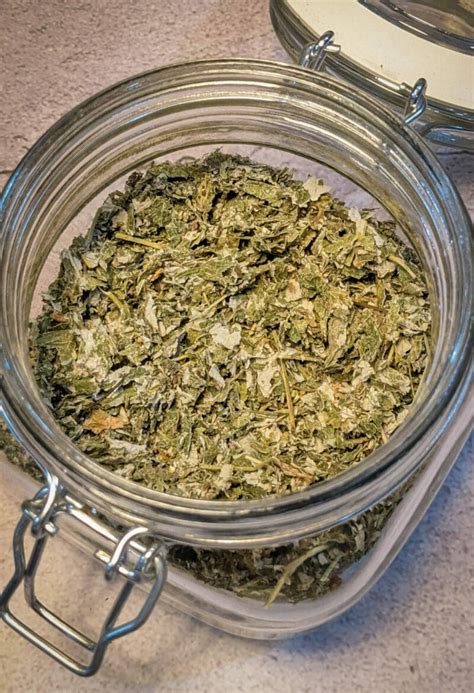 Image result for Smokeing Raspberry Leaf