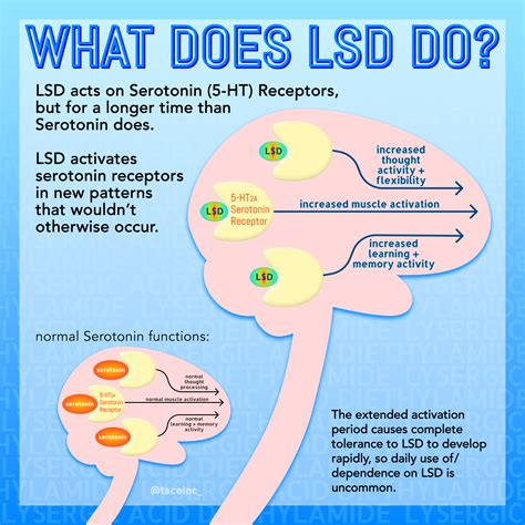Image result for LSD