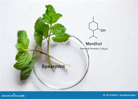 Image result for Menthol Structure Formula