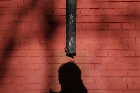 Image result for PVC Screen Pipe Texture