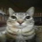 Image result for Super Ring Part Script Lua