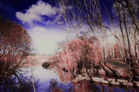 Image result for Short Prose