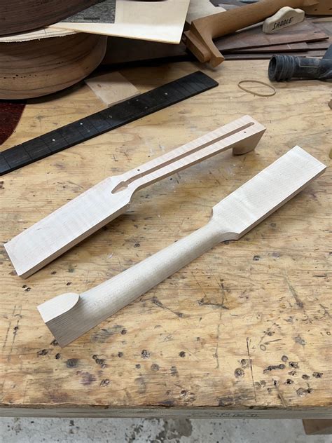 Image result for 10 String Mandolin