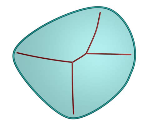 Image result for Medial Axis Line MATLAB