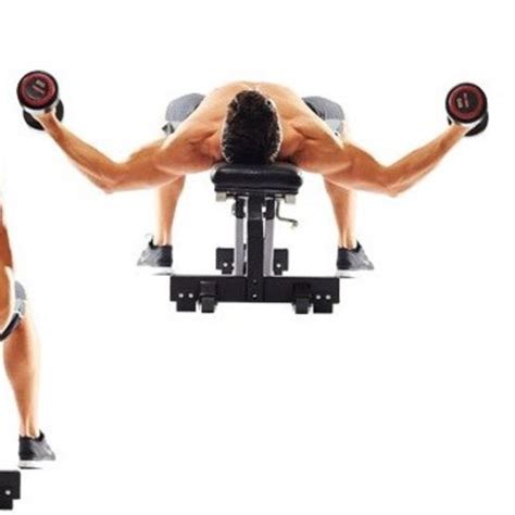 Image result for Chest Fly Exercise Drawing