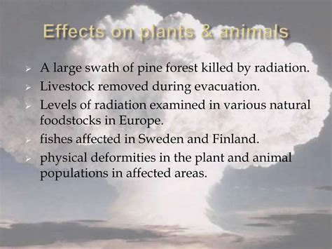 Image result for Chernobyl Disaster Case Study