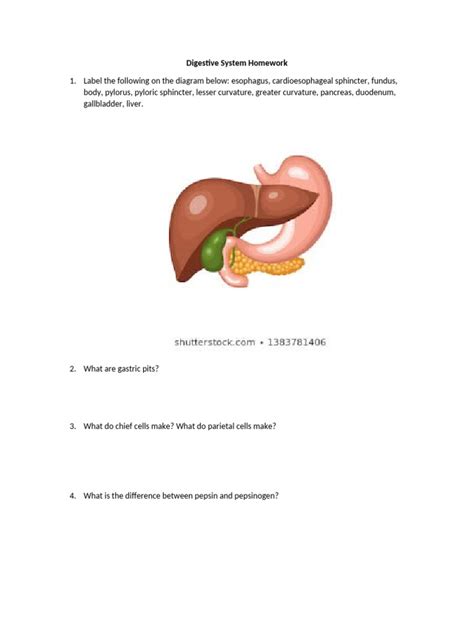 Image result for Homework Digestive System