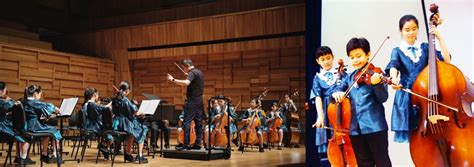 Image result for Strings Ensemble Native Instruments