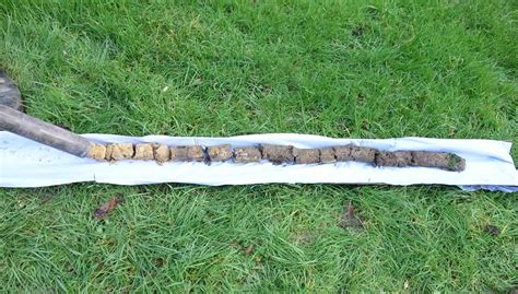 Image result for Soil Sampling Kit