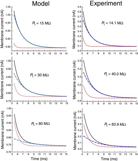 Image result for Approximation Exponential