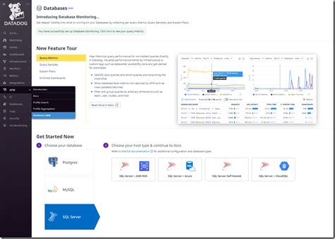 Image result for Database Monitoring Datadog SQL Server
