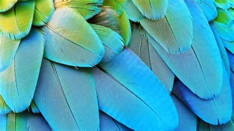 Image result for Photoshop Layers Basics